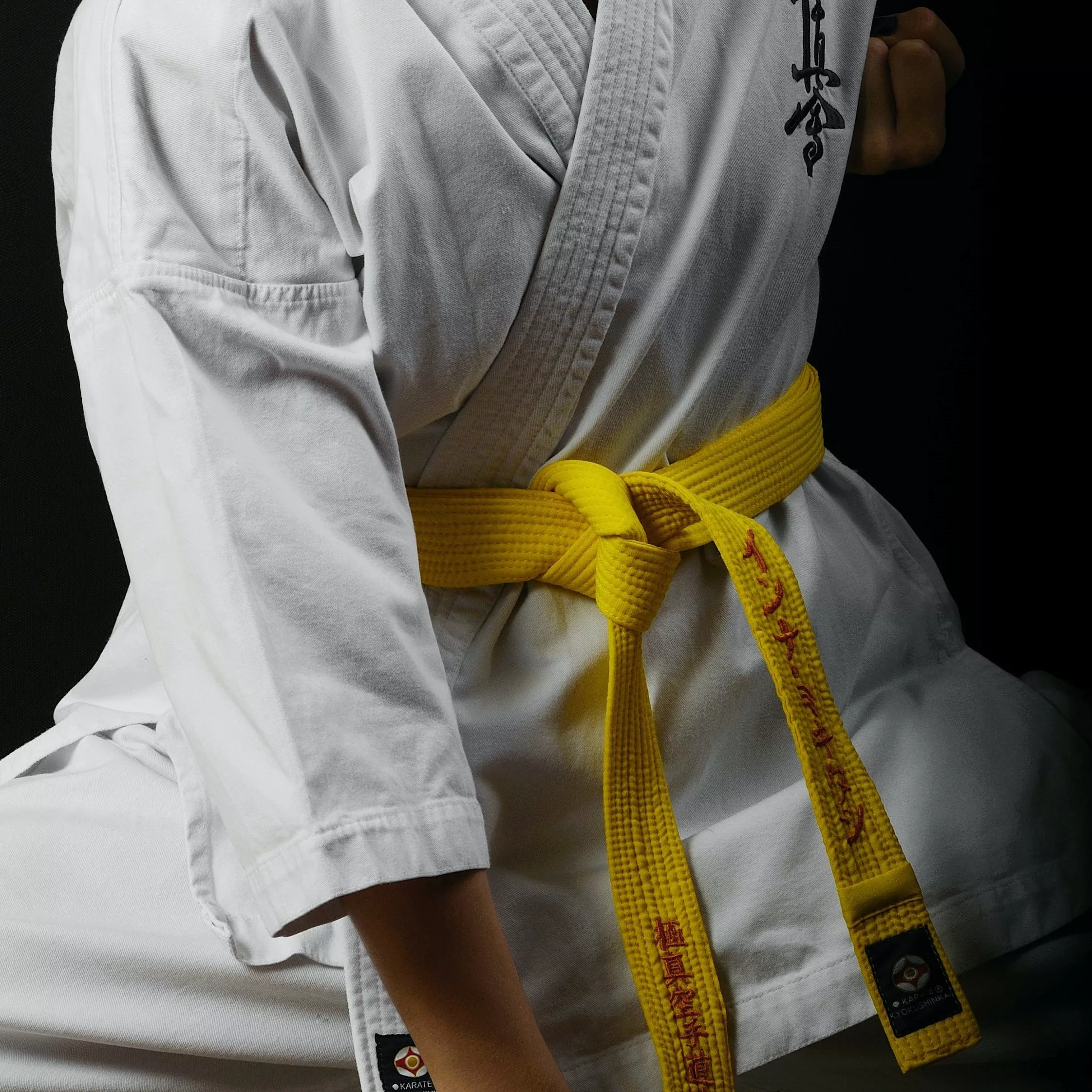 Formação e Certificação Six Sigma Belts | KAIZEN™